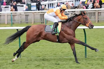 Feilden Stakes: exciting Jayarebe powers clear at Newmarket