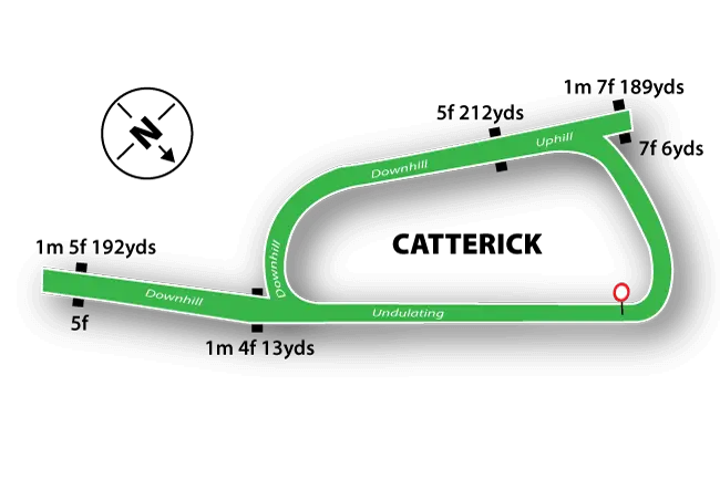Catterick Bridge Racecourse, Results & Racecards