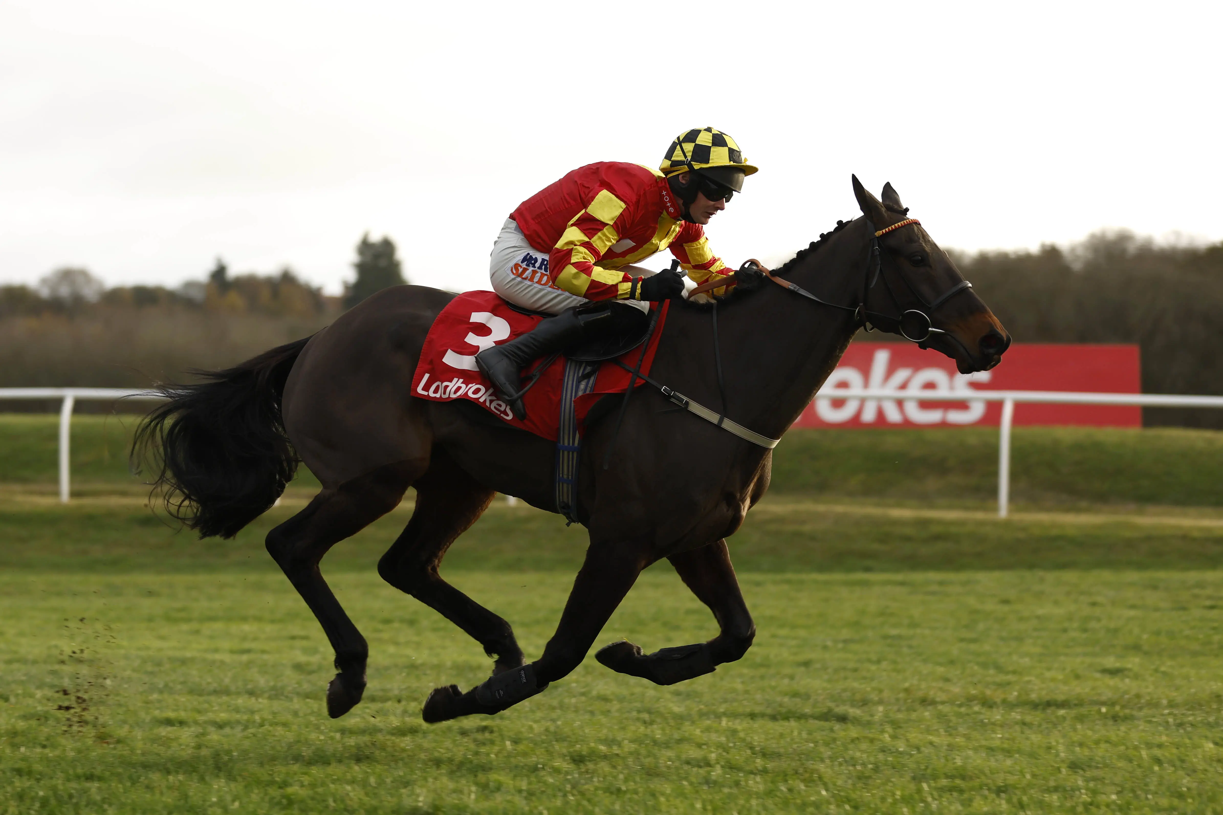 Onemorefortheroad sparks Newbury celebrations for Neil King