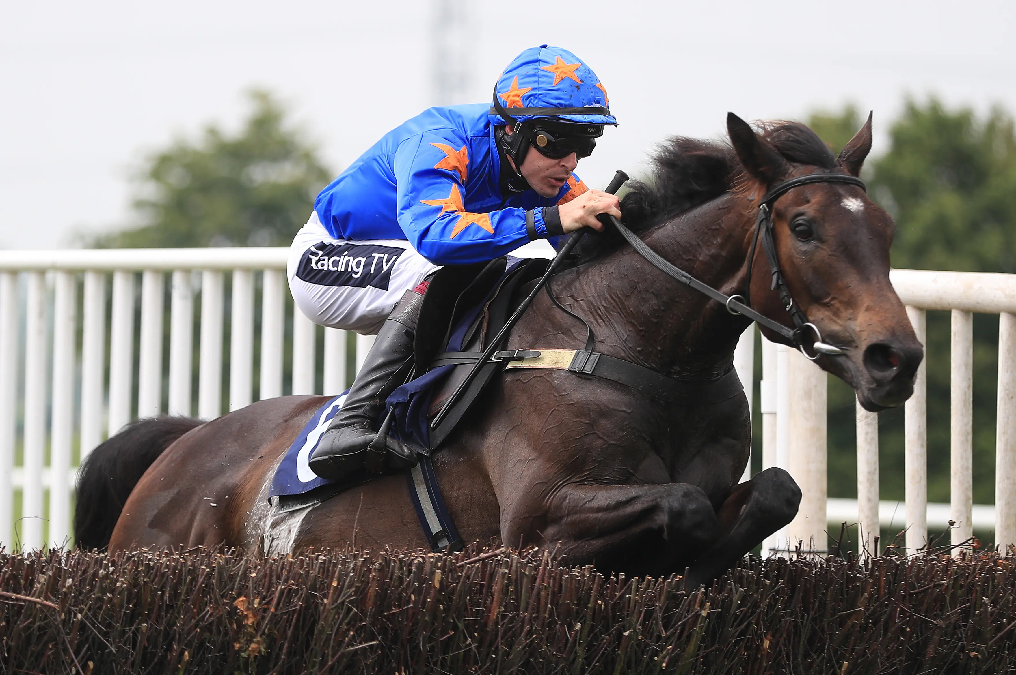 Horse racing tips: "he could easily be thrown in"