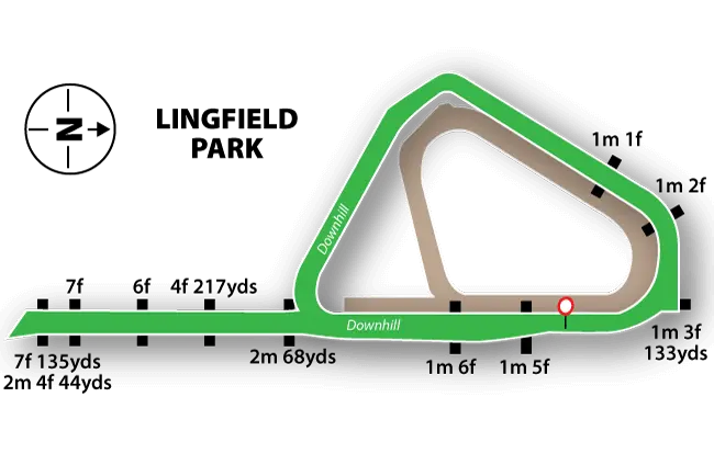 Lingfield Racecourse, Results & Racecards