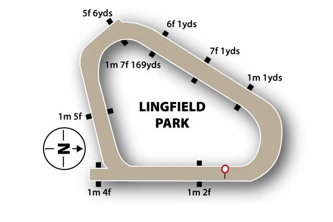 Lingfield Racecourse, Results & Racecards