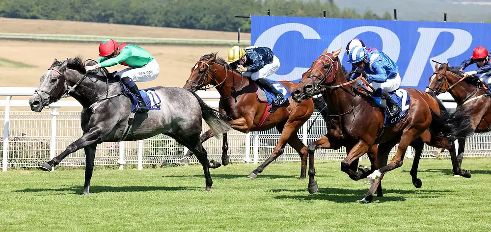Today's Horse Racing News | Racing TV