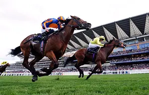 Today's Horse Racing News | Racing TV