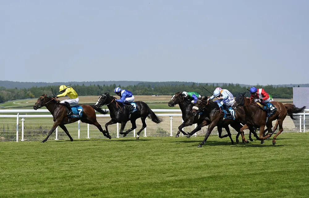 Today's Horse Racing News | Racing TV