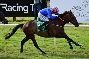 Today's Horse Racing News | Racing TV