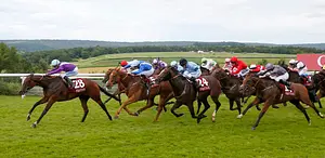 Today's Horse Racing News | Racing TV