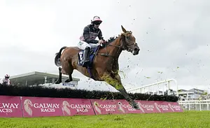 Today's Horse Racing News | Racing TV