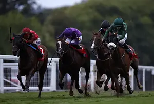 Today's Horse Racing News | Racing TV
