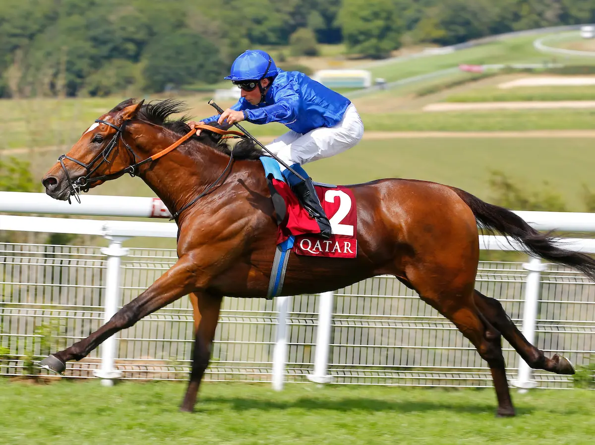 Globetrotting Cross Counter heads for thrilling Gold Cup clash