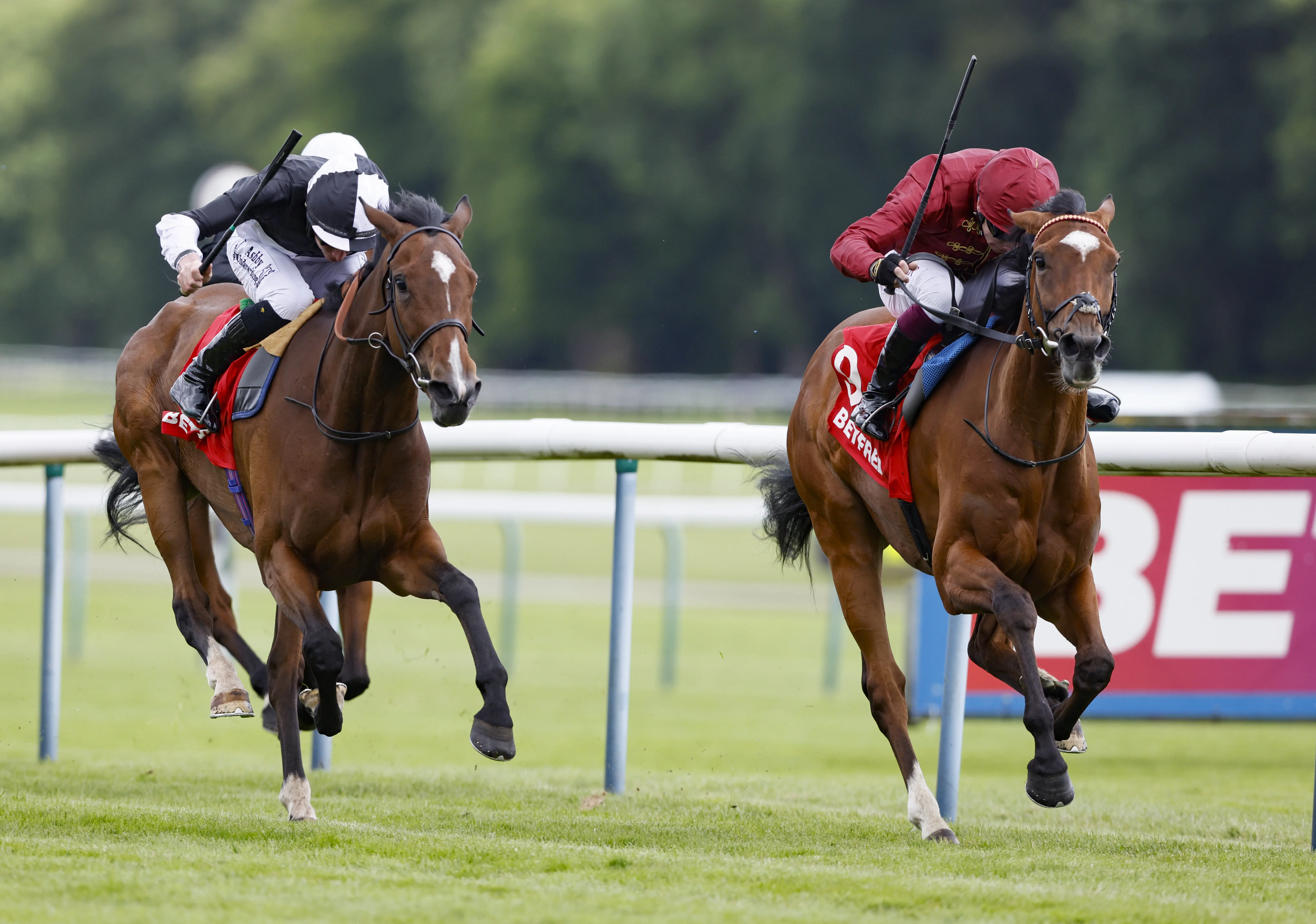 Yorkshire Oaks: runner-by-runner guide and tip