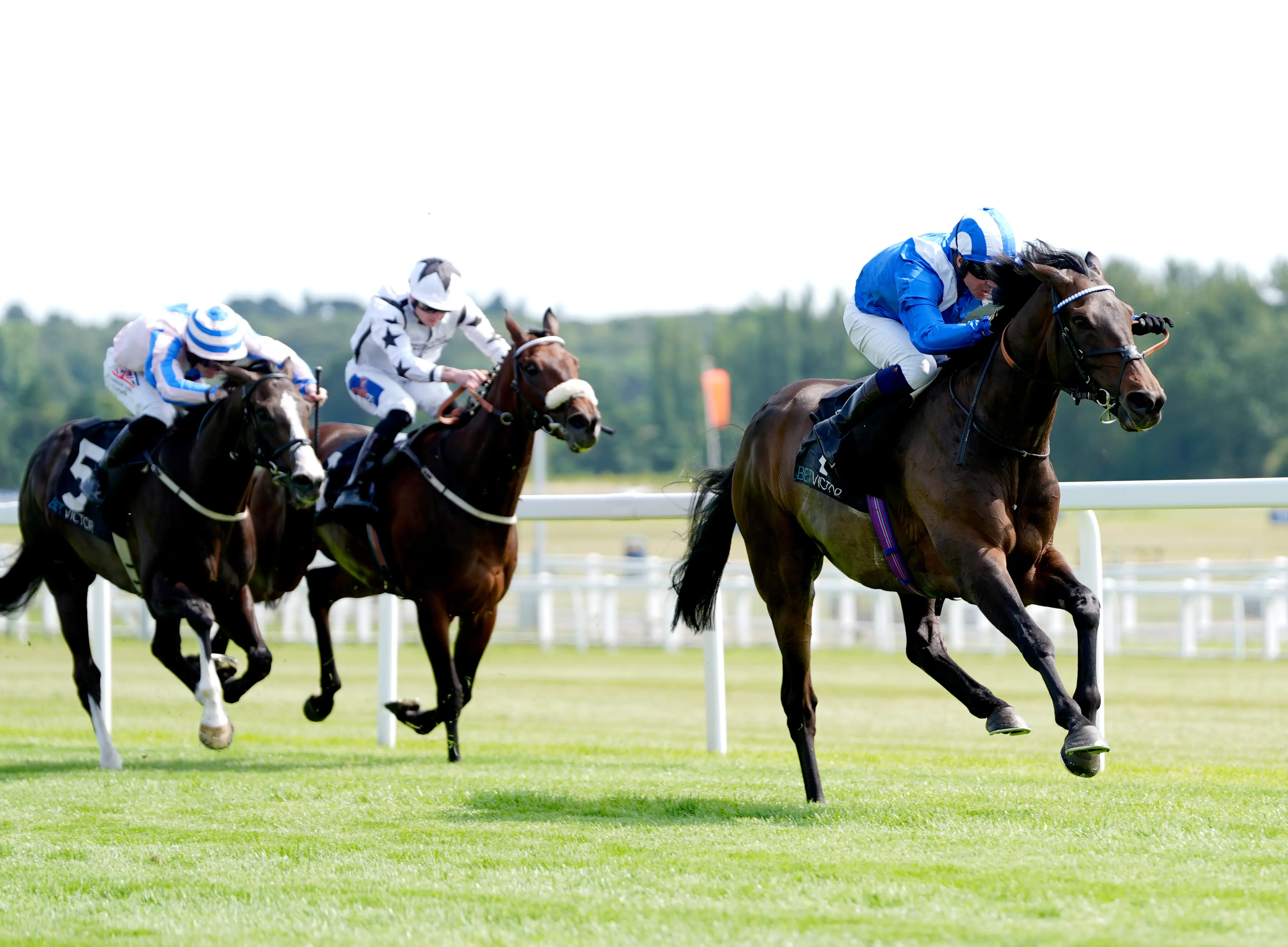 "Dude" Al Aasy strolls home in Geoffrey Freer