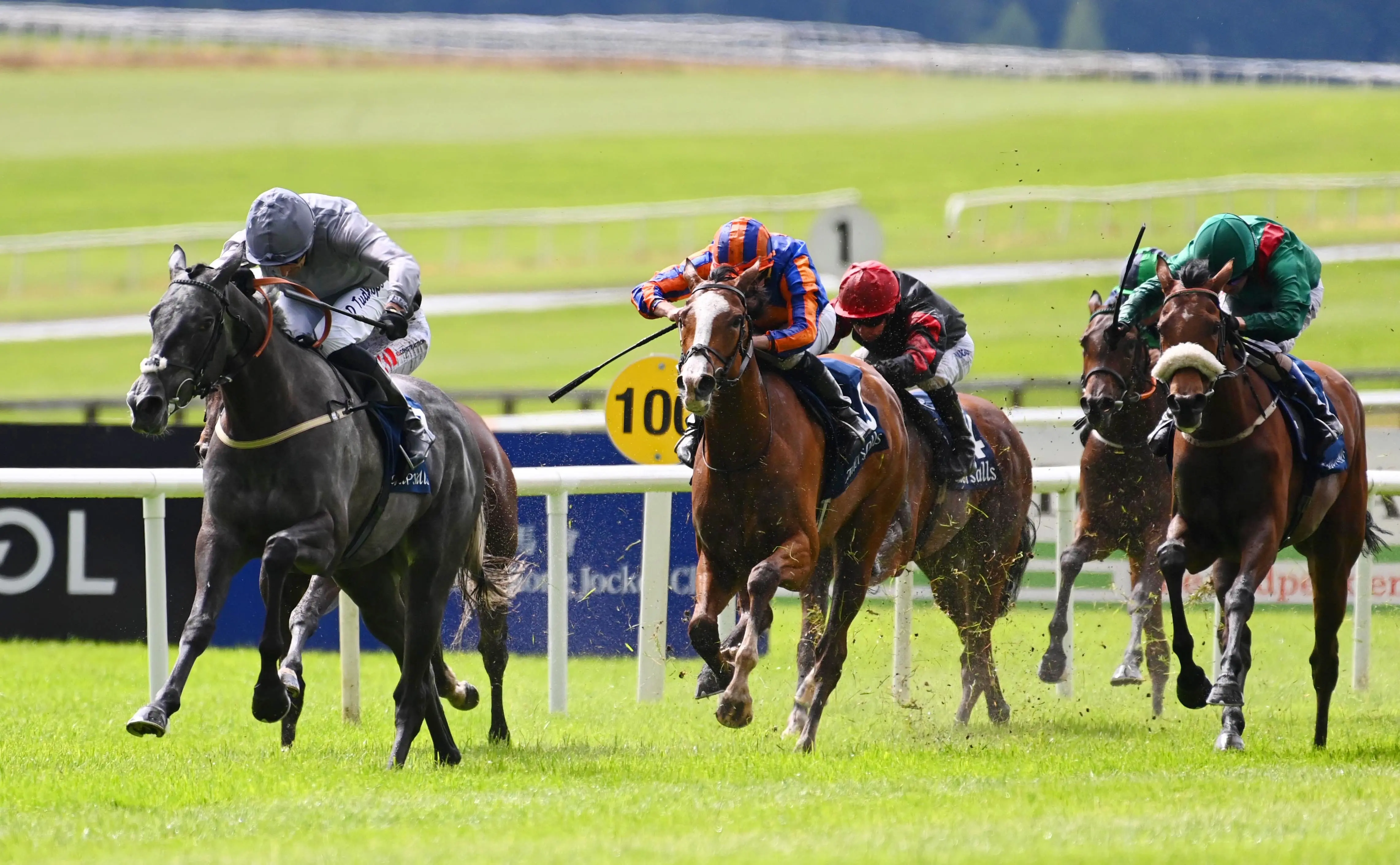 Fallen Angel on target for Matron return at Leopardstown