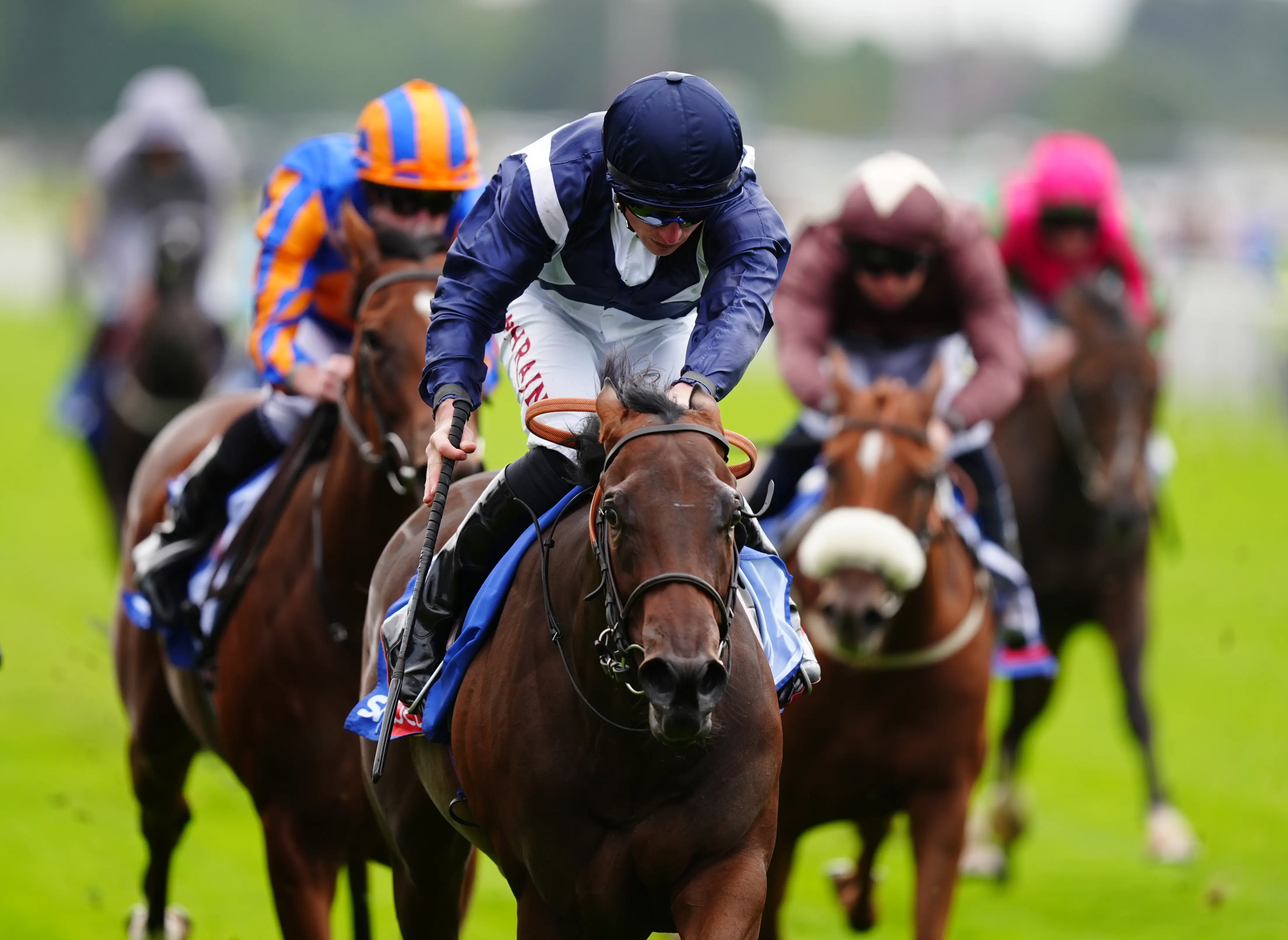Celandine digs deep to secure Lowther Stakes