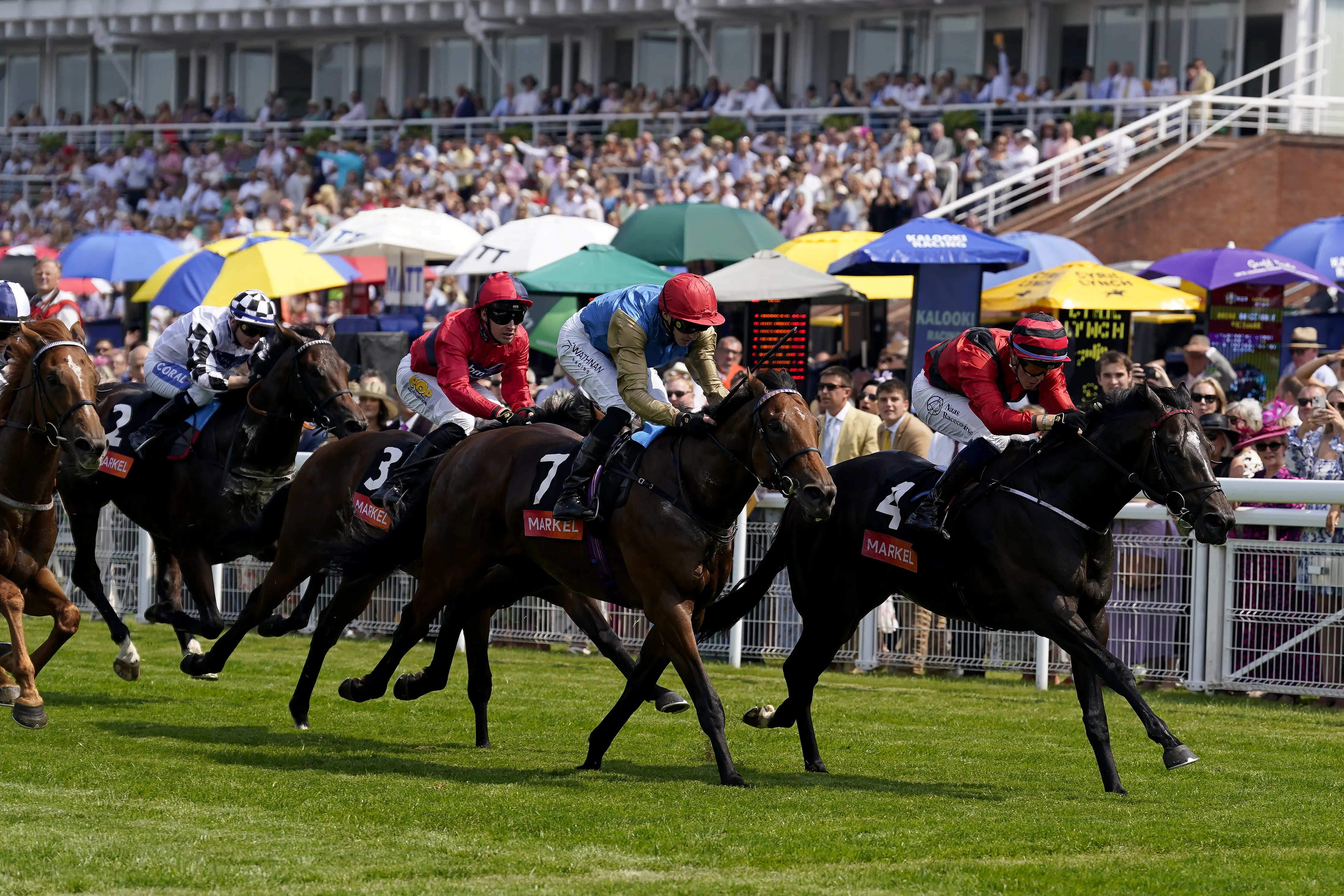 Gimcrack Stakes: views from connections and 13/2 tip