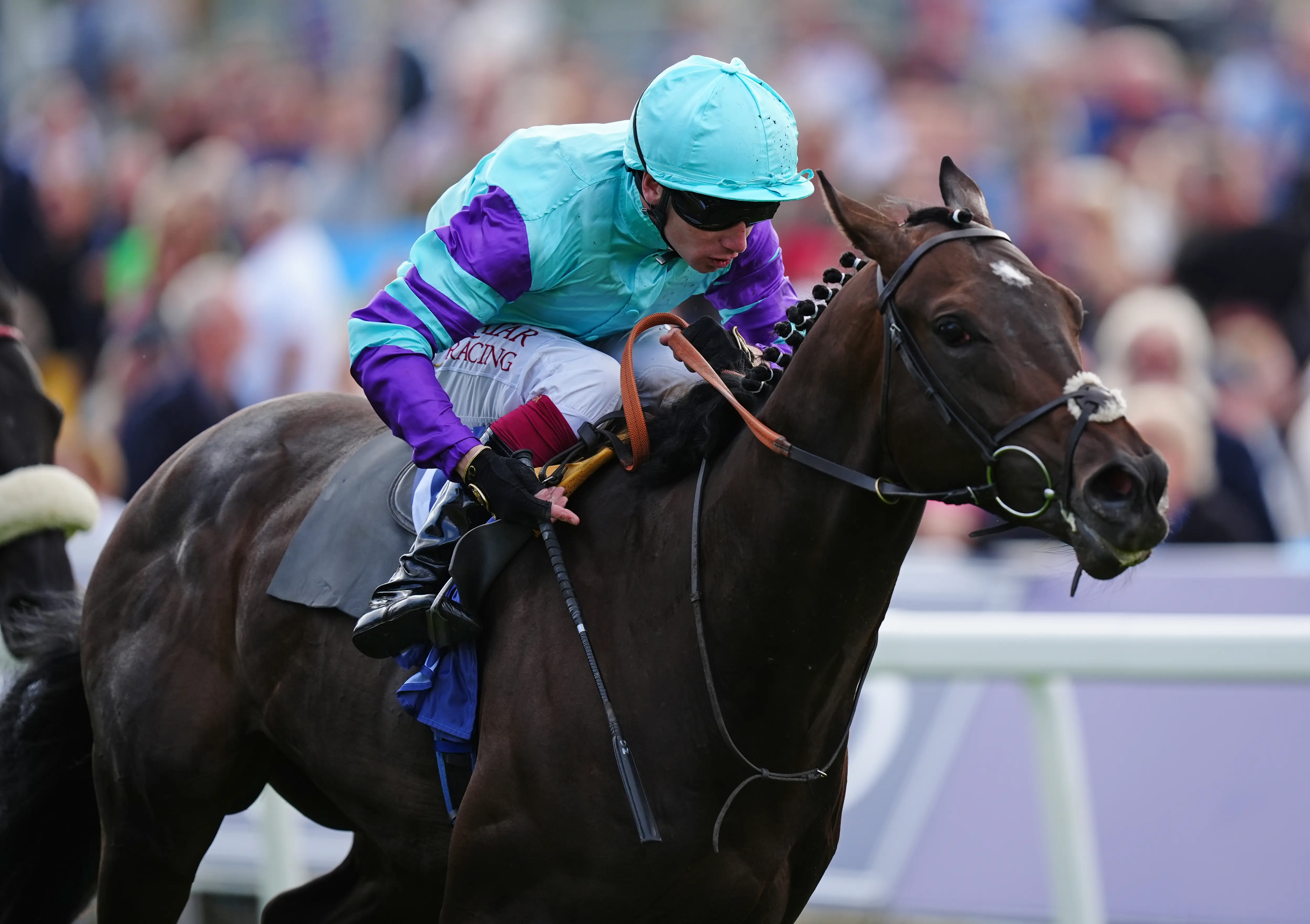 Cool Hoof Luke darts to Gimcrack victory at York