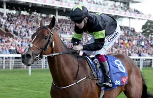 Today's Horse Racing News | Racing TV