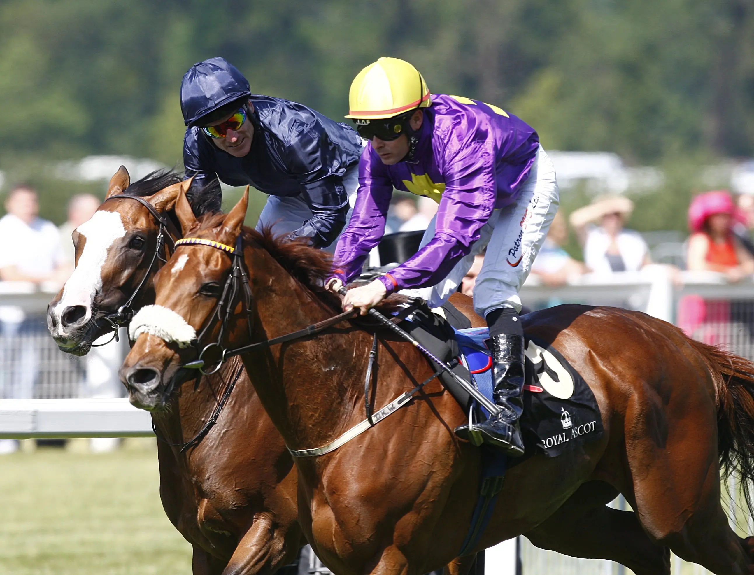 Dermot Weld pays tribute to Gold Cup hero Rite Of Passage