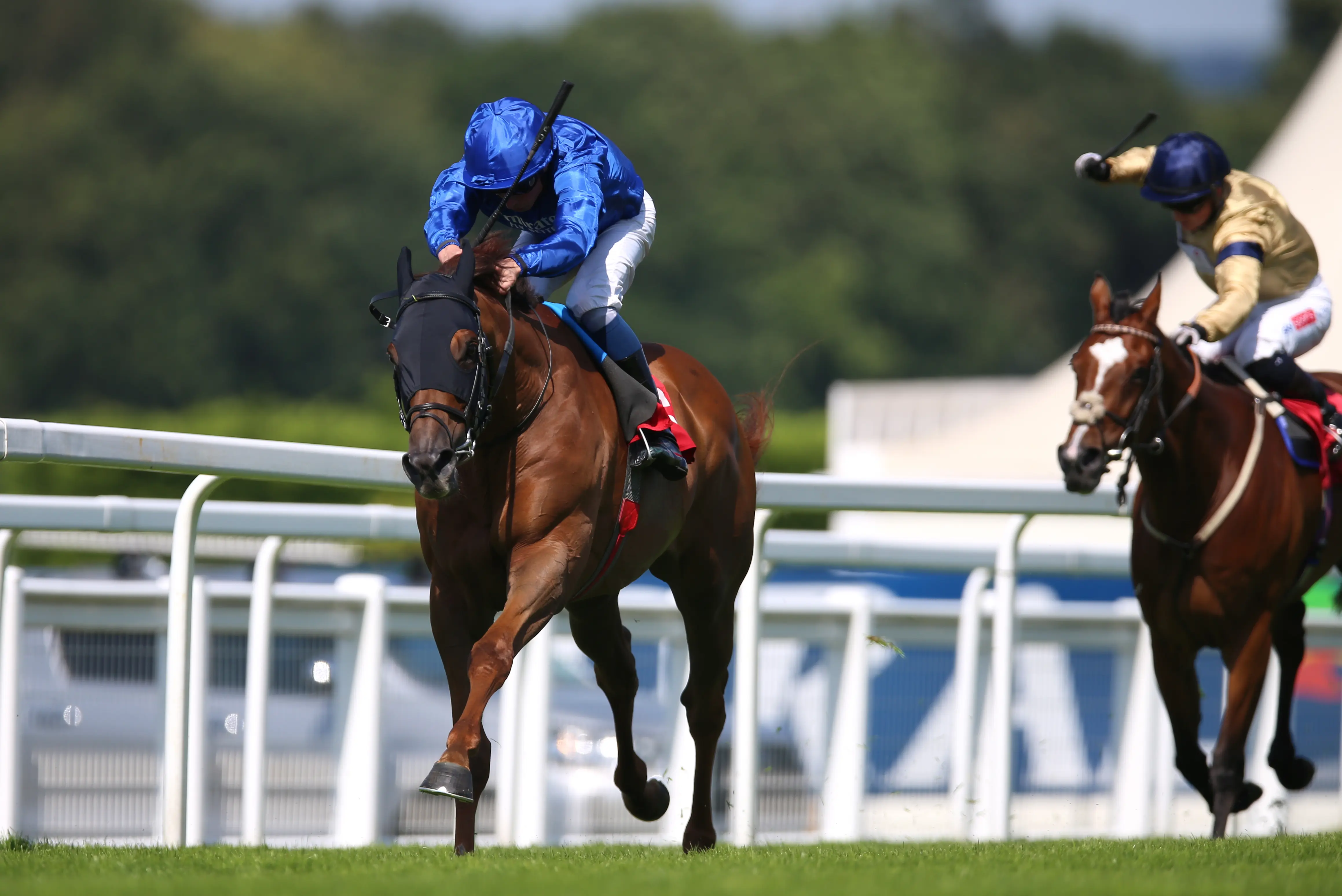 Yibir makes light work of Marathon task at Sandown