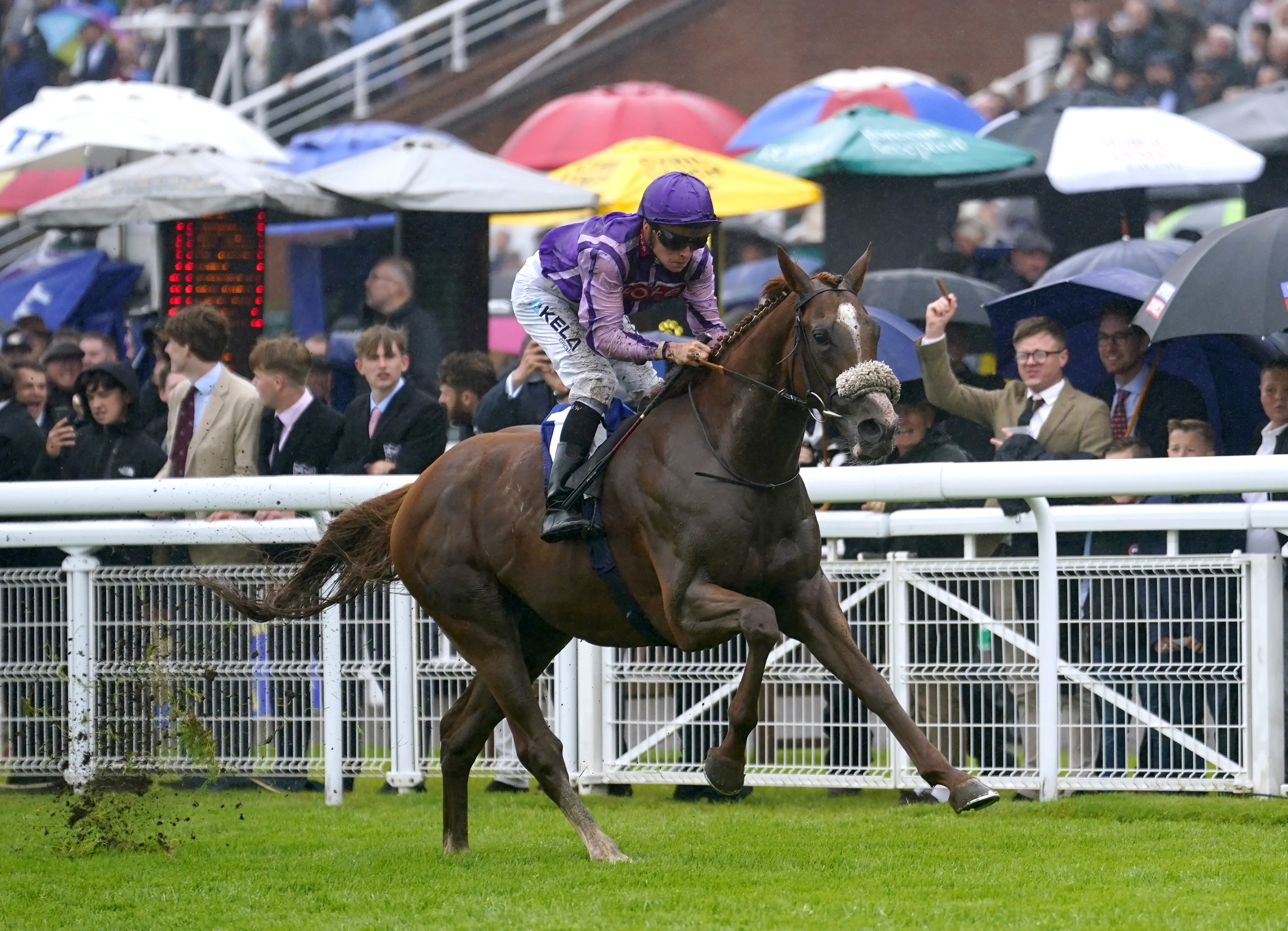 The Goat really is the greatest for Balding at Goodwood