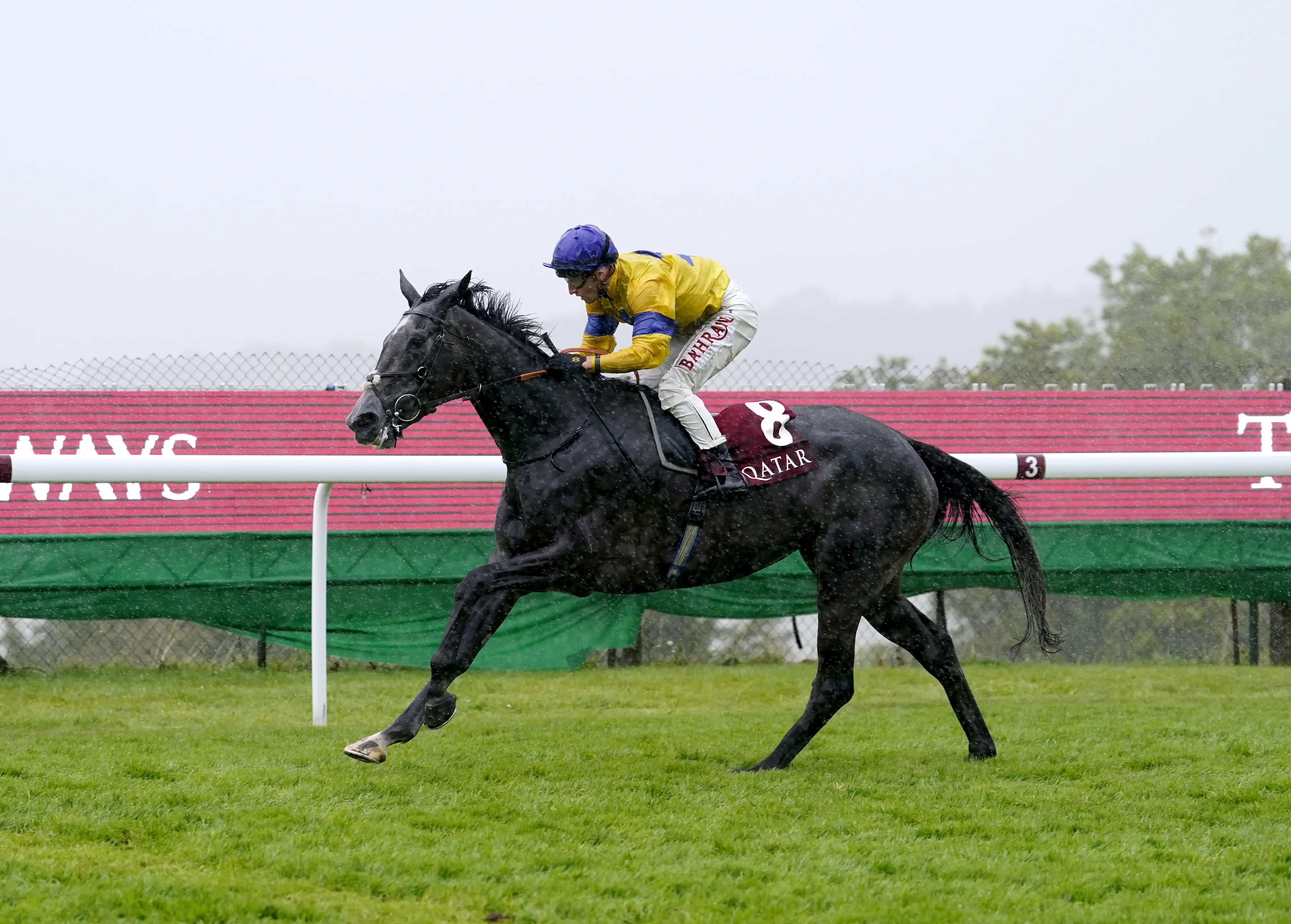 Sumo Sam and Marquand spring 25-1 surprise in Lillie Langtry