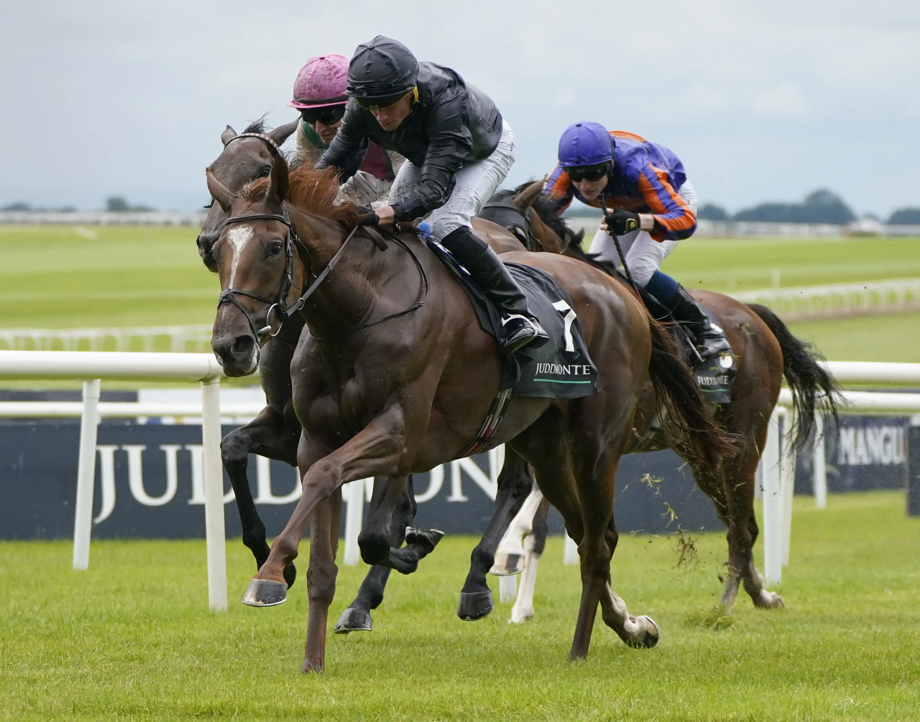 Savethelastdance and Bluestocking set for York rematch