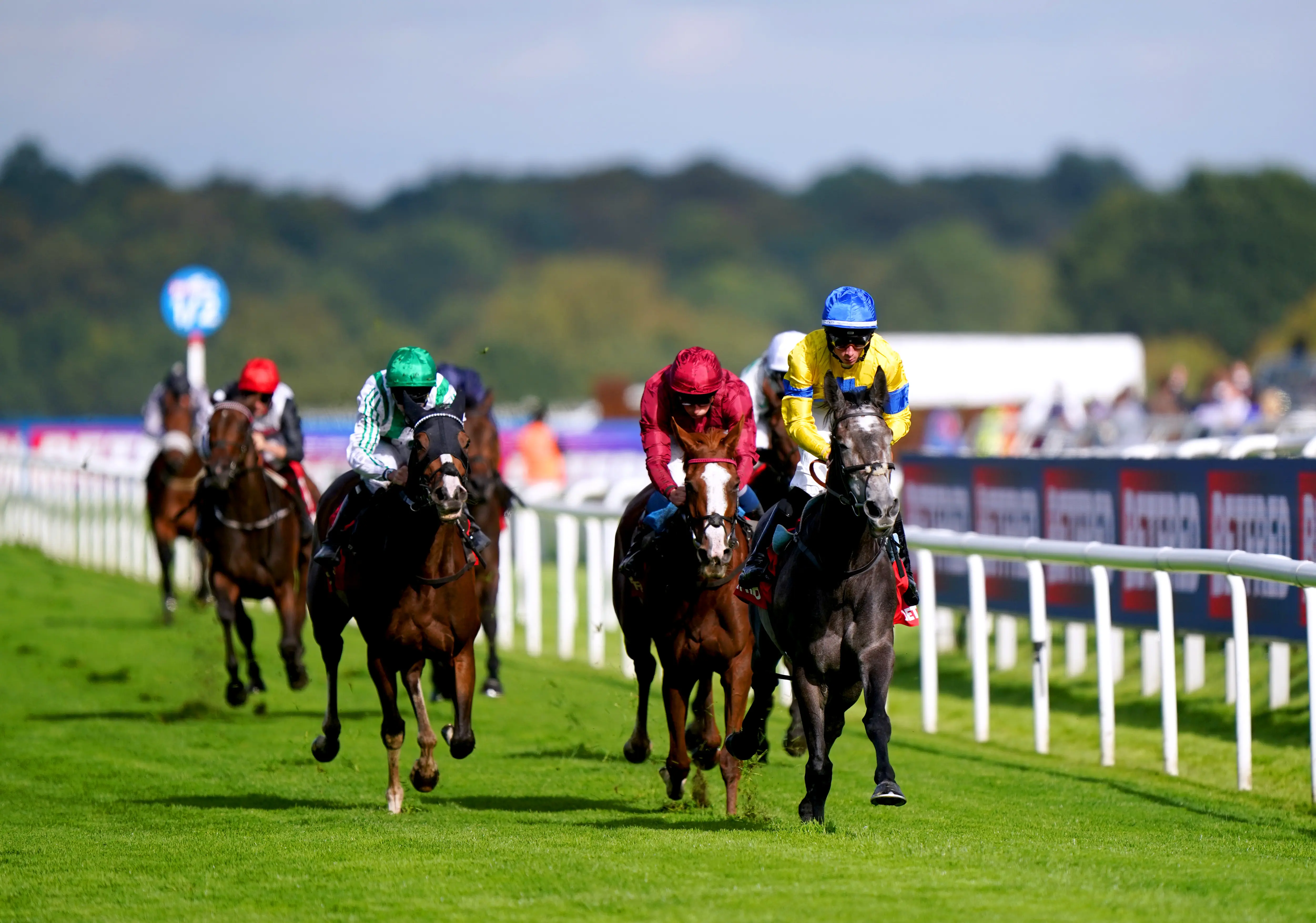 Sumo Sam digs deep for Park Hill glory