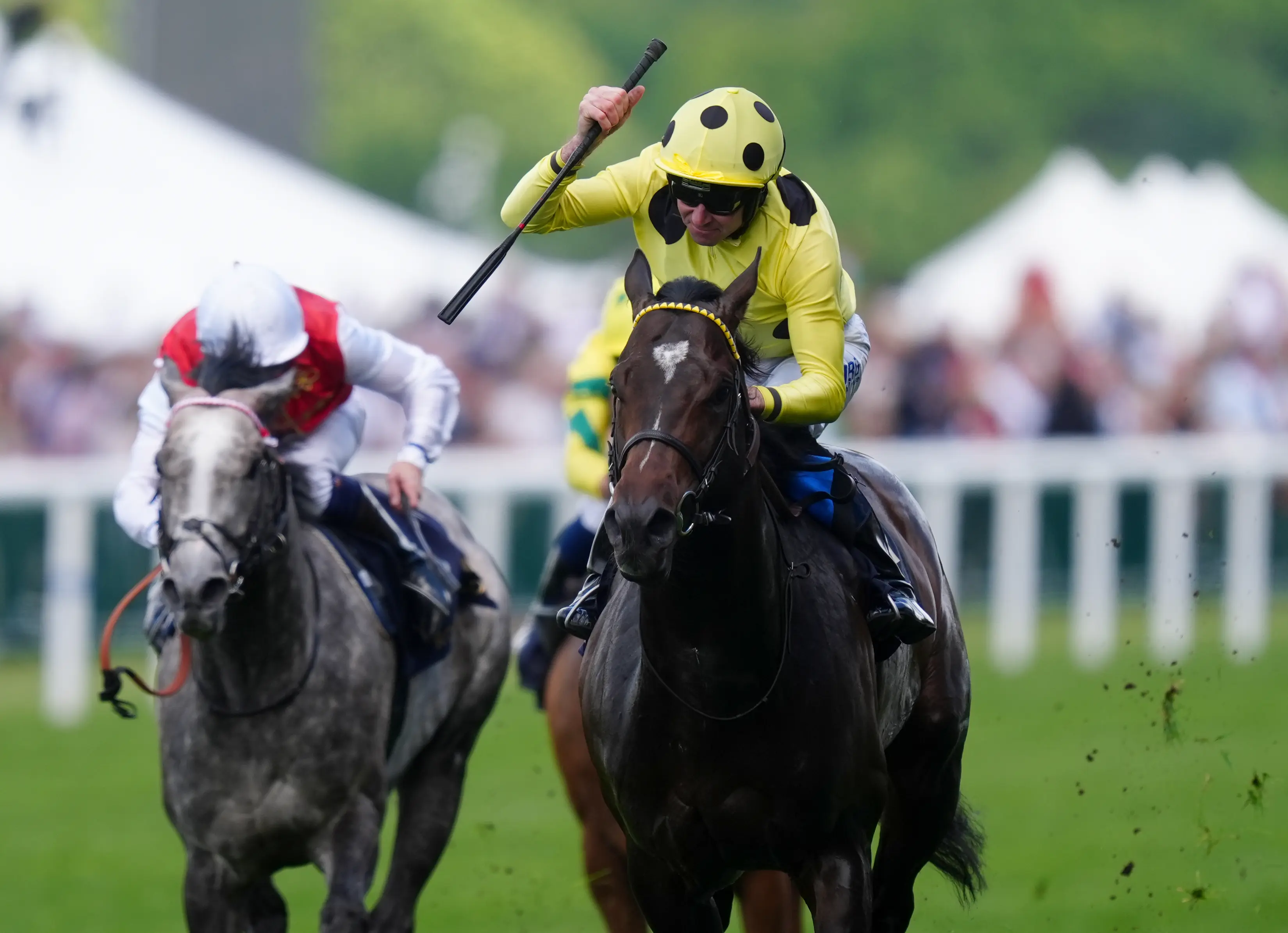 Six key contenders for the Betfair Sprint Cup Stakes