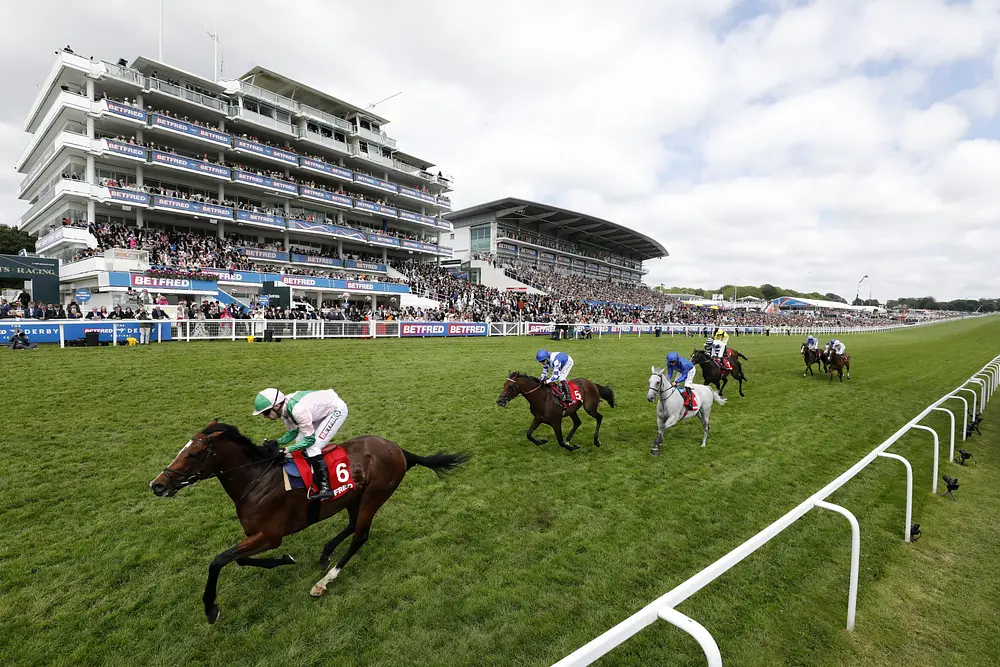 Today's Horse Racing News | Racing TV