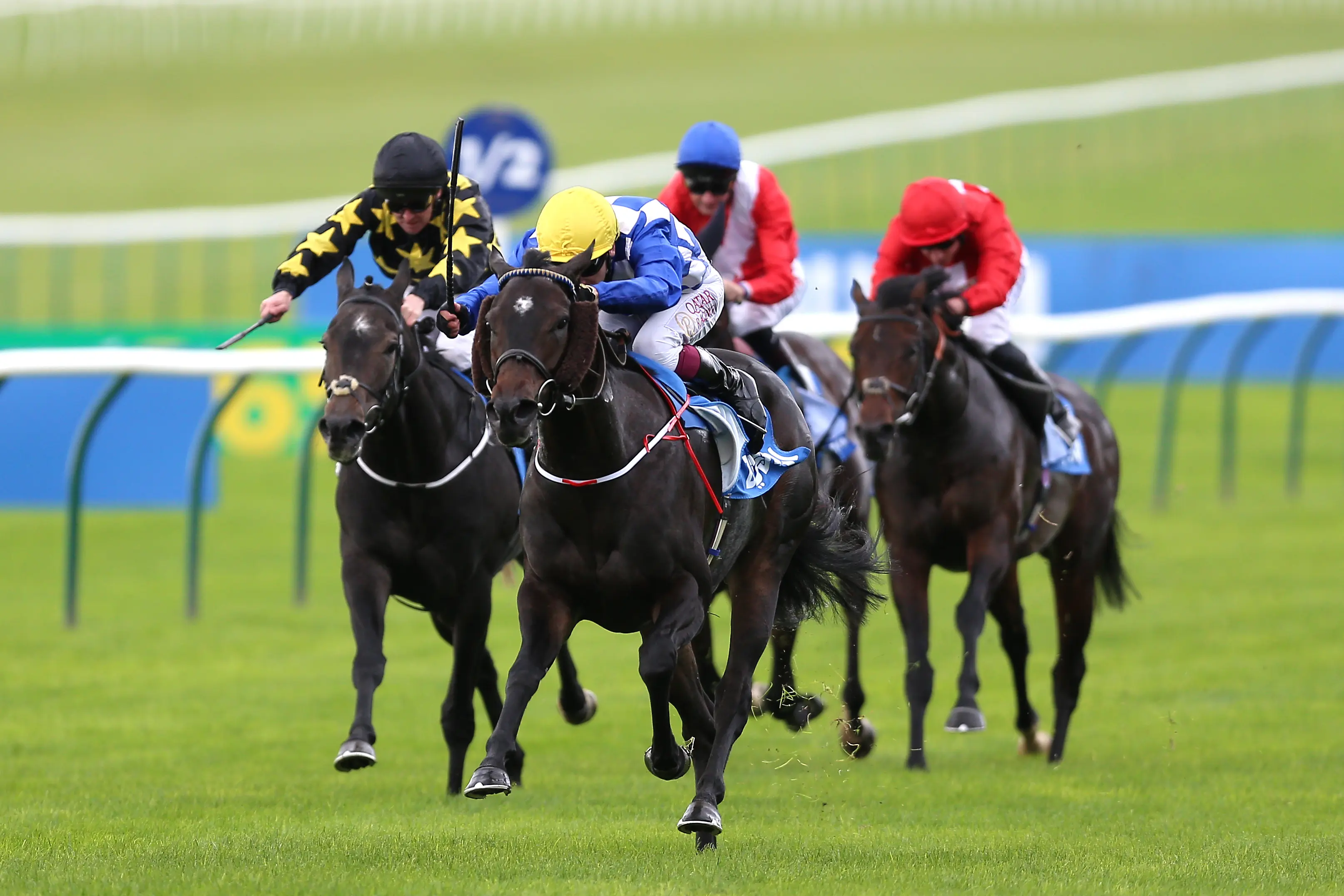 Matilda Picotte runs rivals ragged in Challenge Stakes