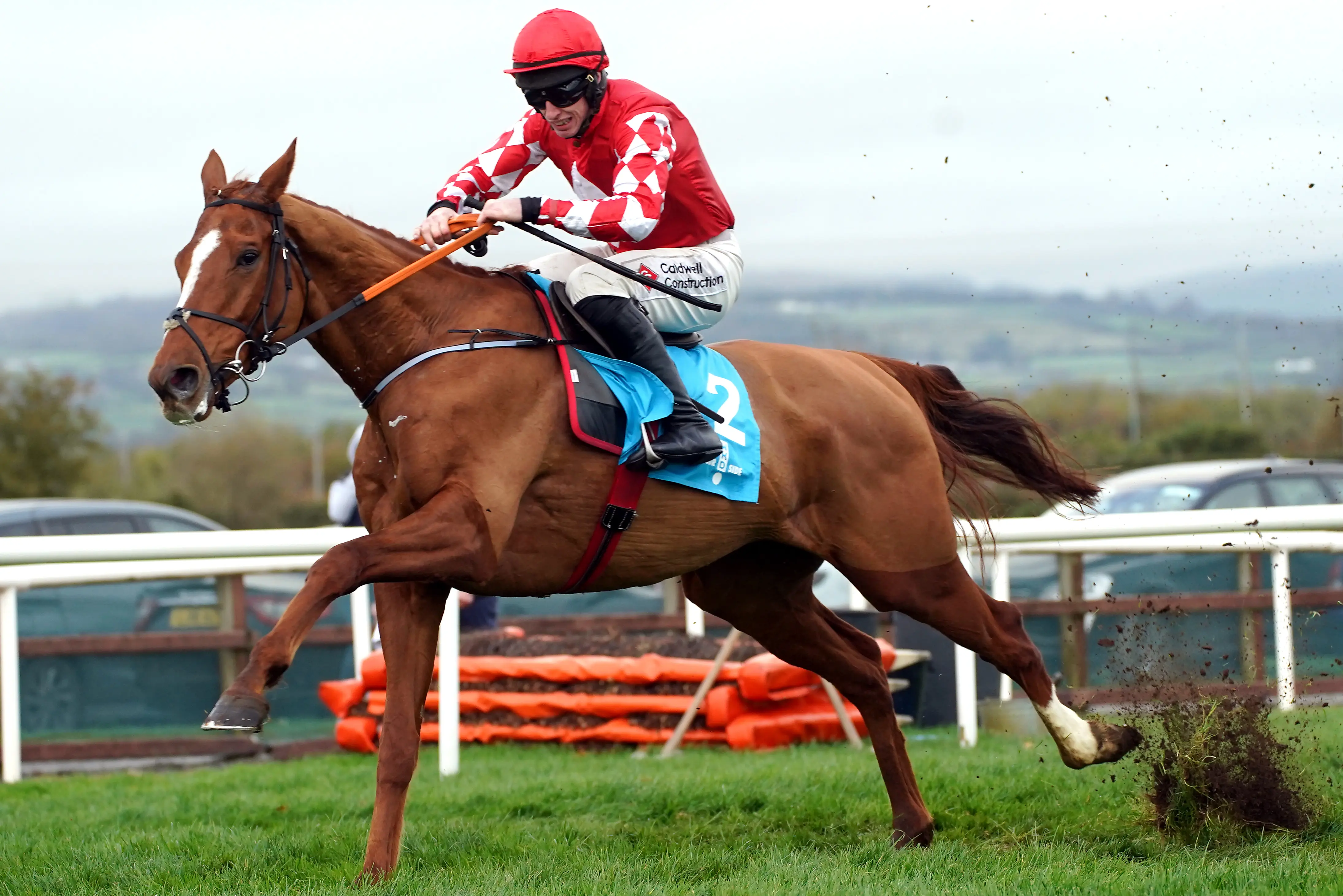 Cesarewitch: Pied Piper camp delighted to have Moore on board