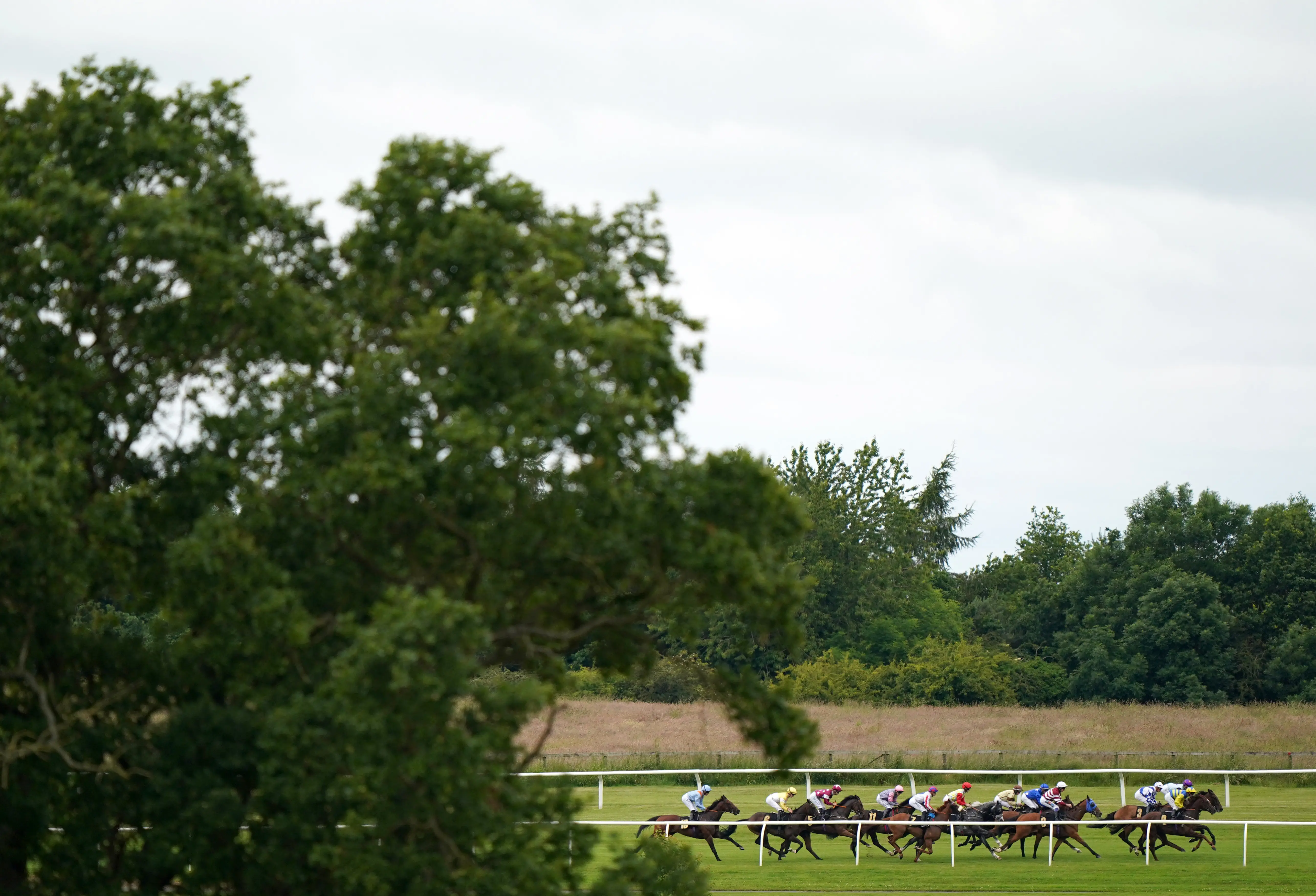 Member of ground staff at Carlisle knocked over leaving track at the start