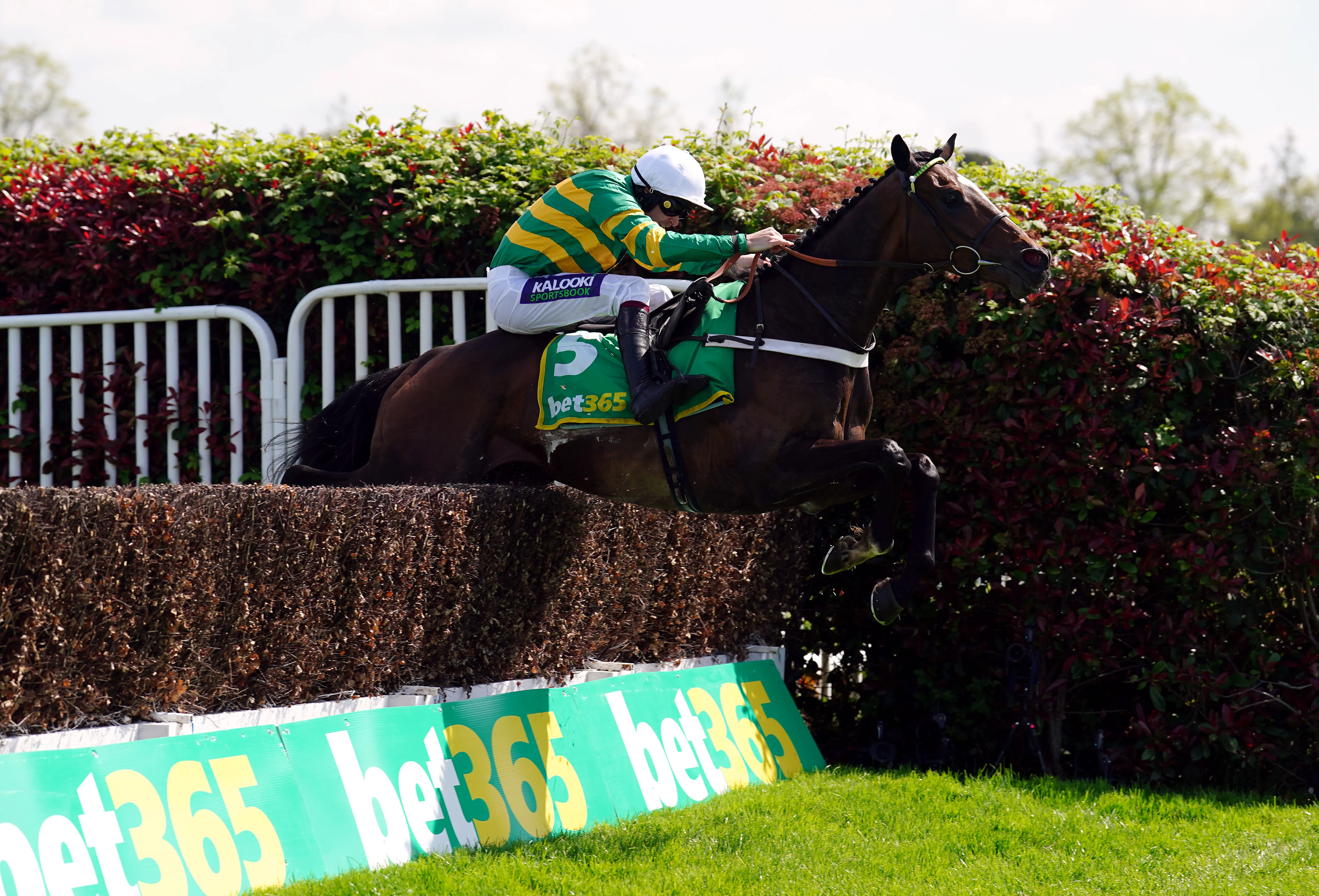 Henderson has trip query as Jonbon returns in Shloer Chase