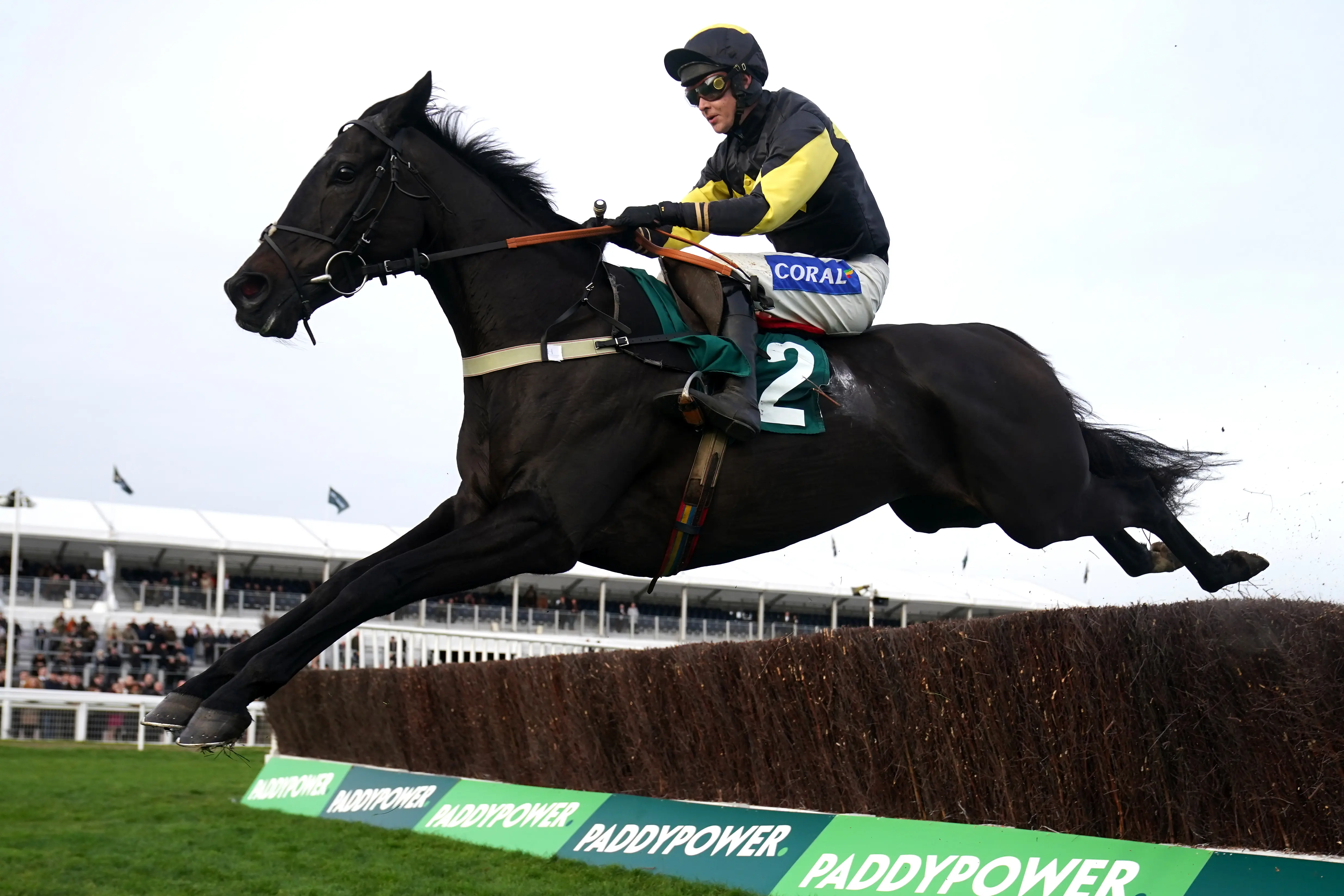 Tizzard to work backwards from Arkle with "super" JPR One