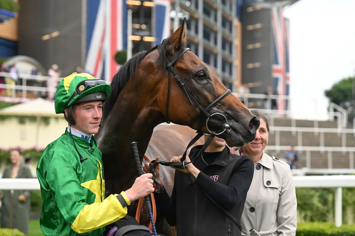 Banker Or Bust: Greys Monument in the 3.55 Redcar