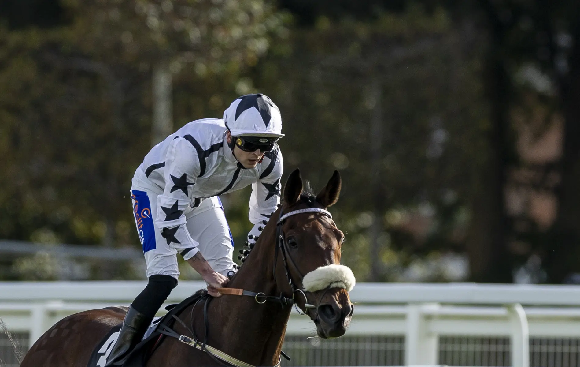 Al Qareem proves back-to-back Cumberland Lodge hero