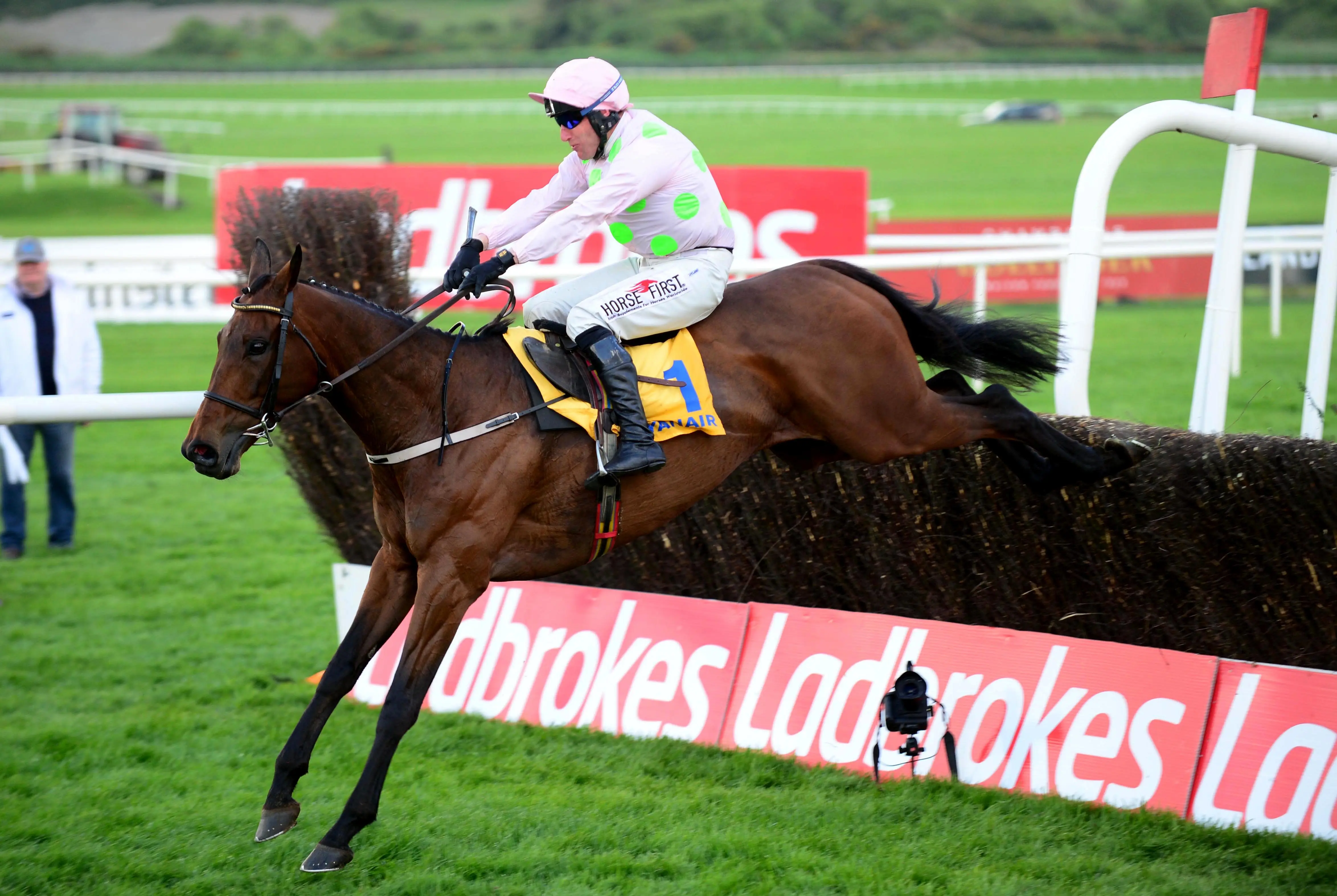 Racing TV presenters and pundits pick their horses to follow for the ...