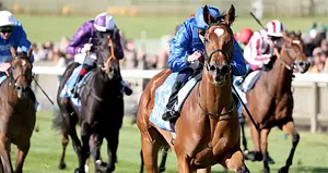 Today's Horse Racing News | Racing TV