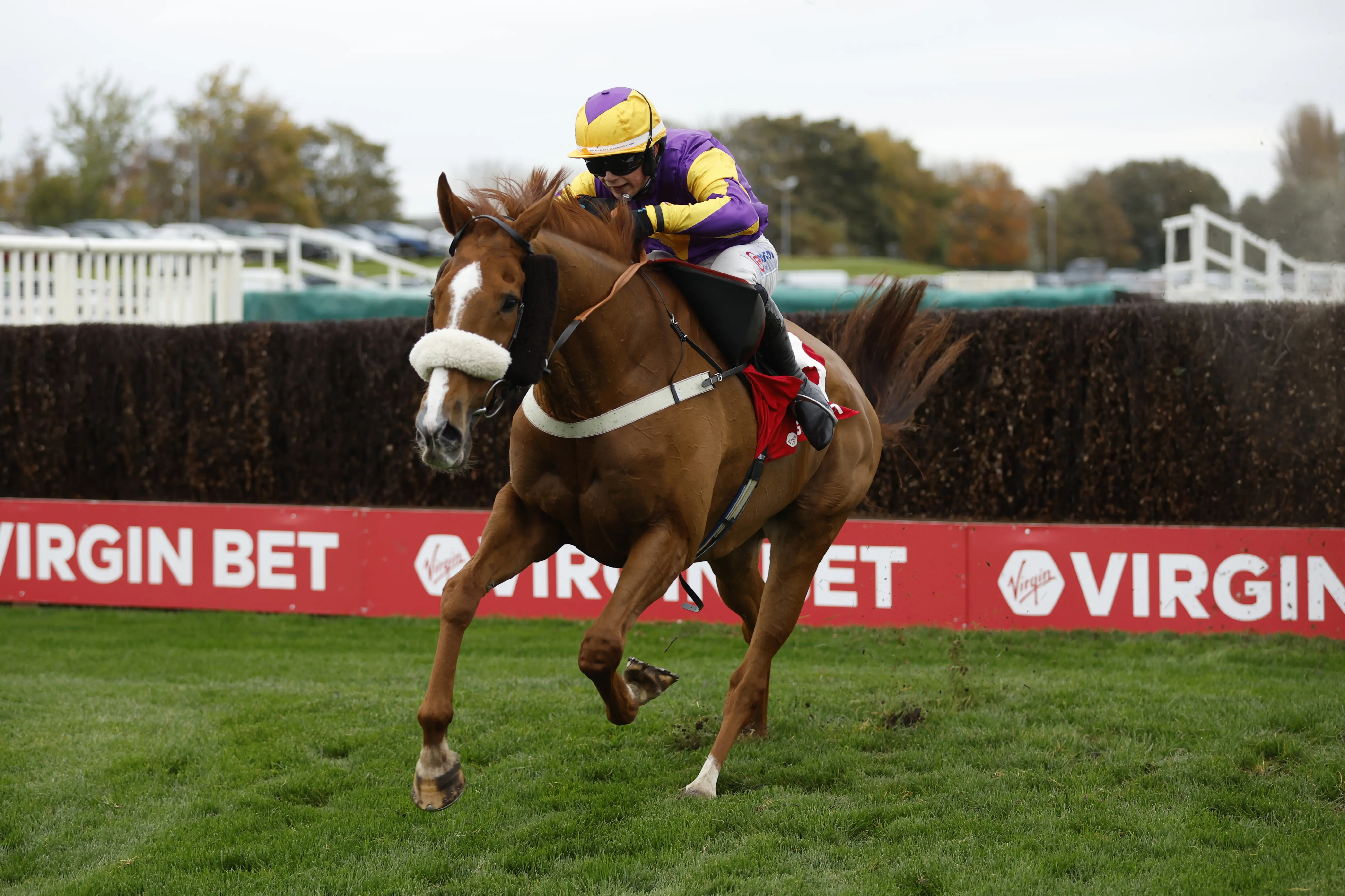 Copperhead takes Aintree gold for Tizzard