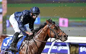 Today's Horse Racing News | Racing TV