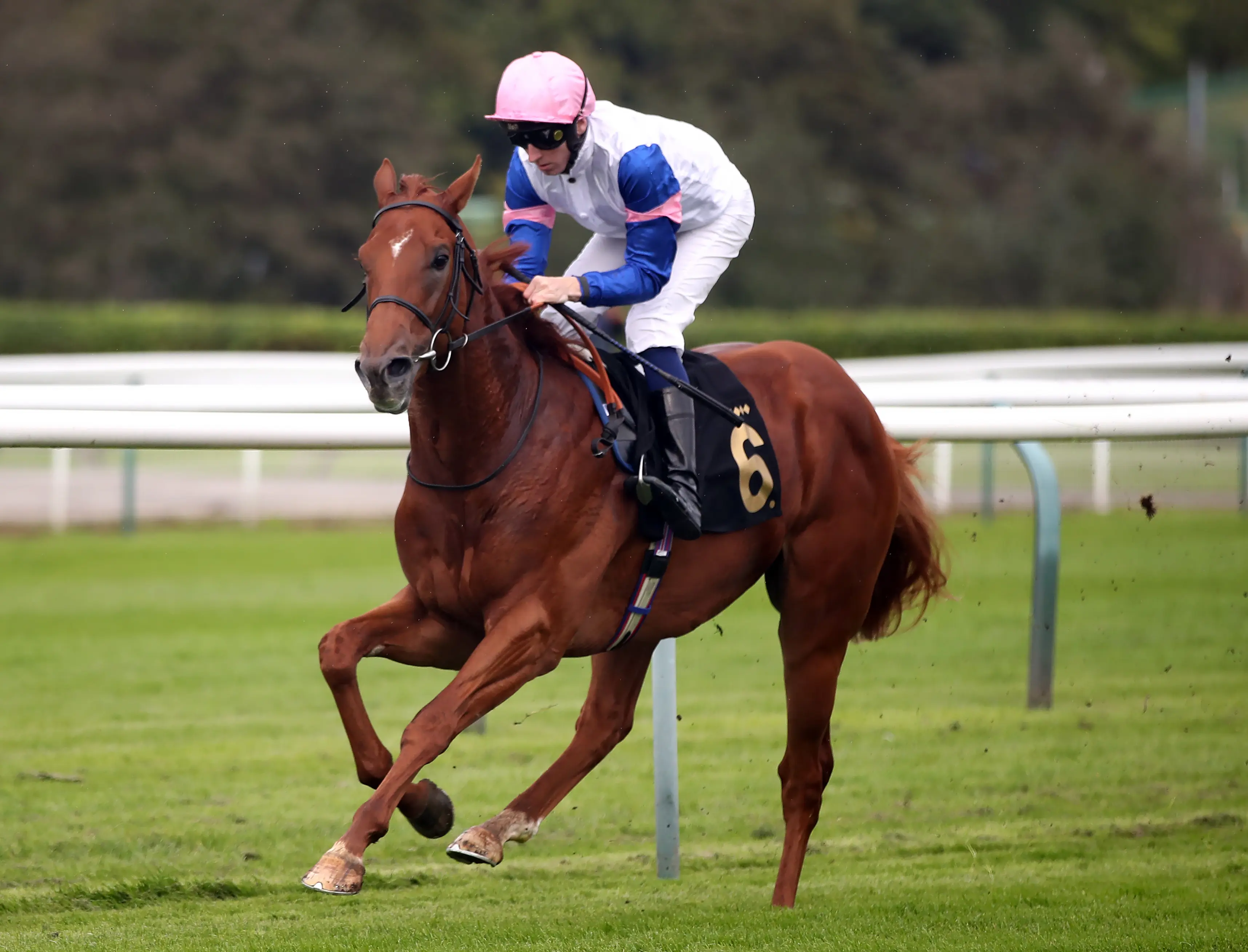 Valvano backed to show true worth in November Handicap