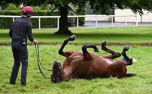 Today's Horse Racing News | Racing TV