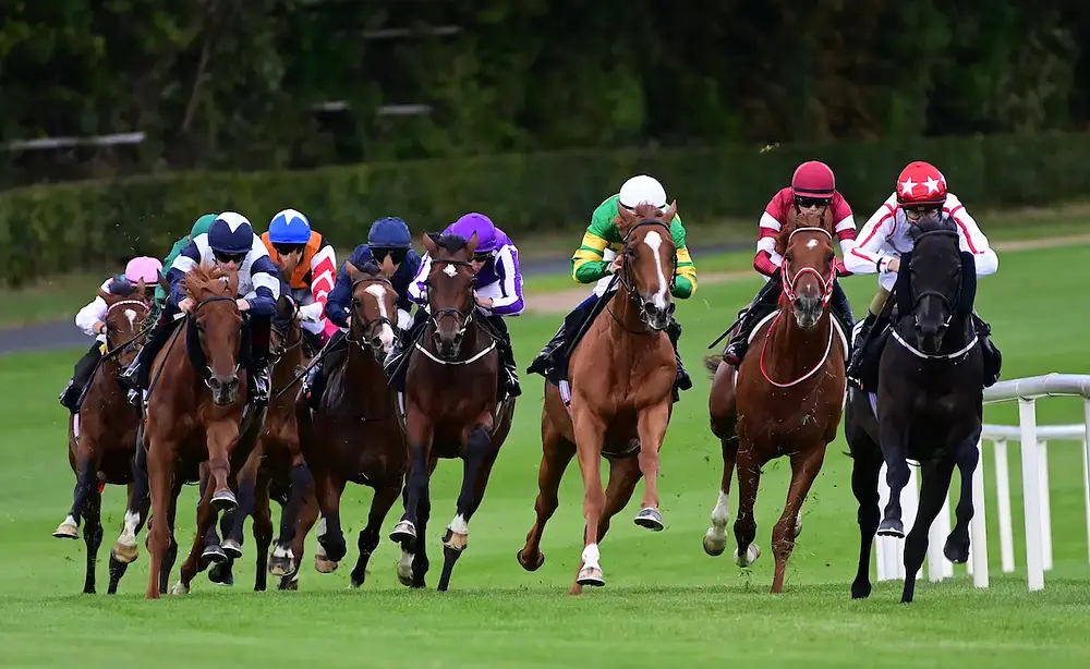 Today's Horse Racing News | Racing TV
