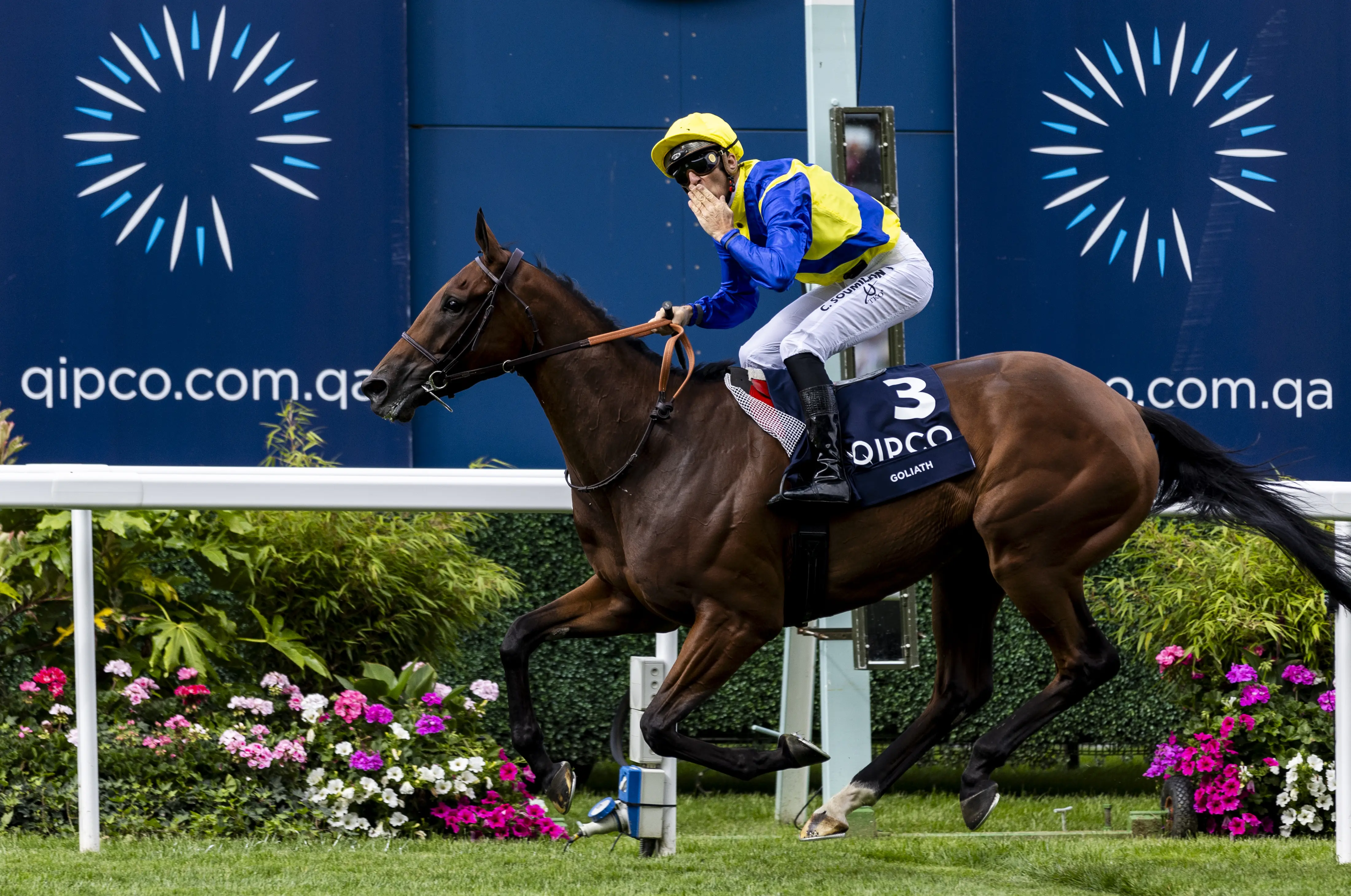 John Stewart has giant dreams for Resolute Racing after Goliath purchase