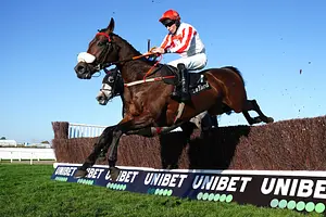 Today's Horse Racing News | Racing TV