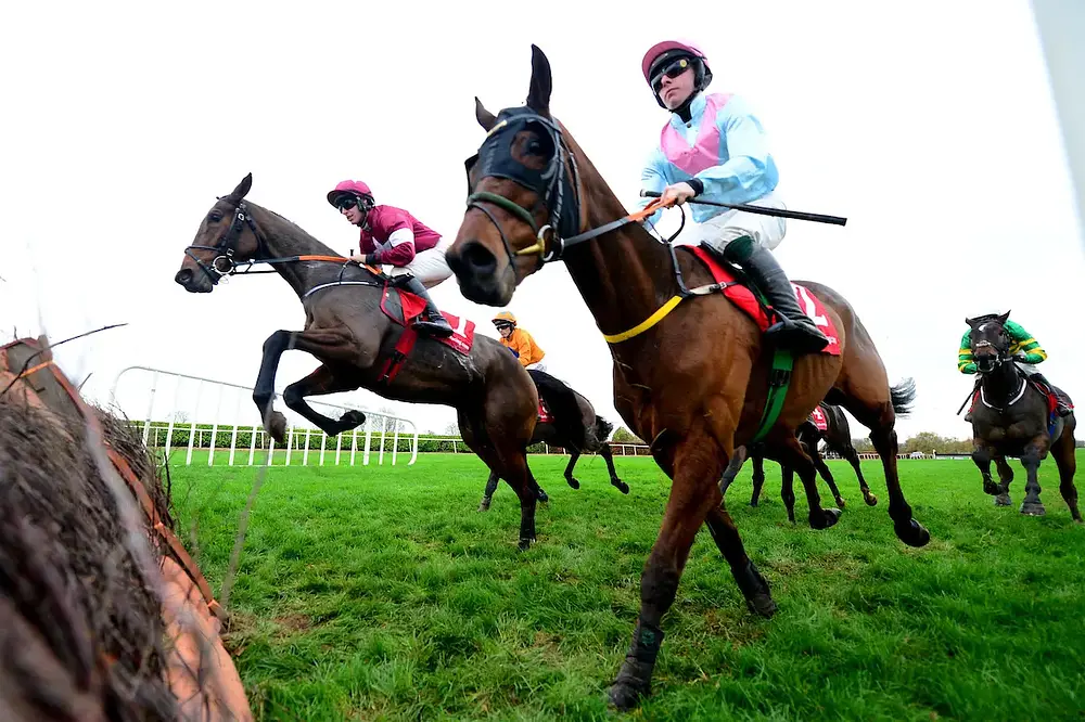 Watch Today's Live Horse Racing Streaming | Racing TV