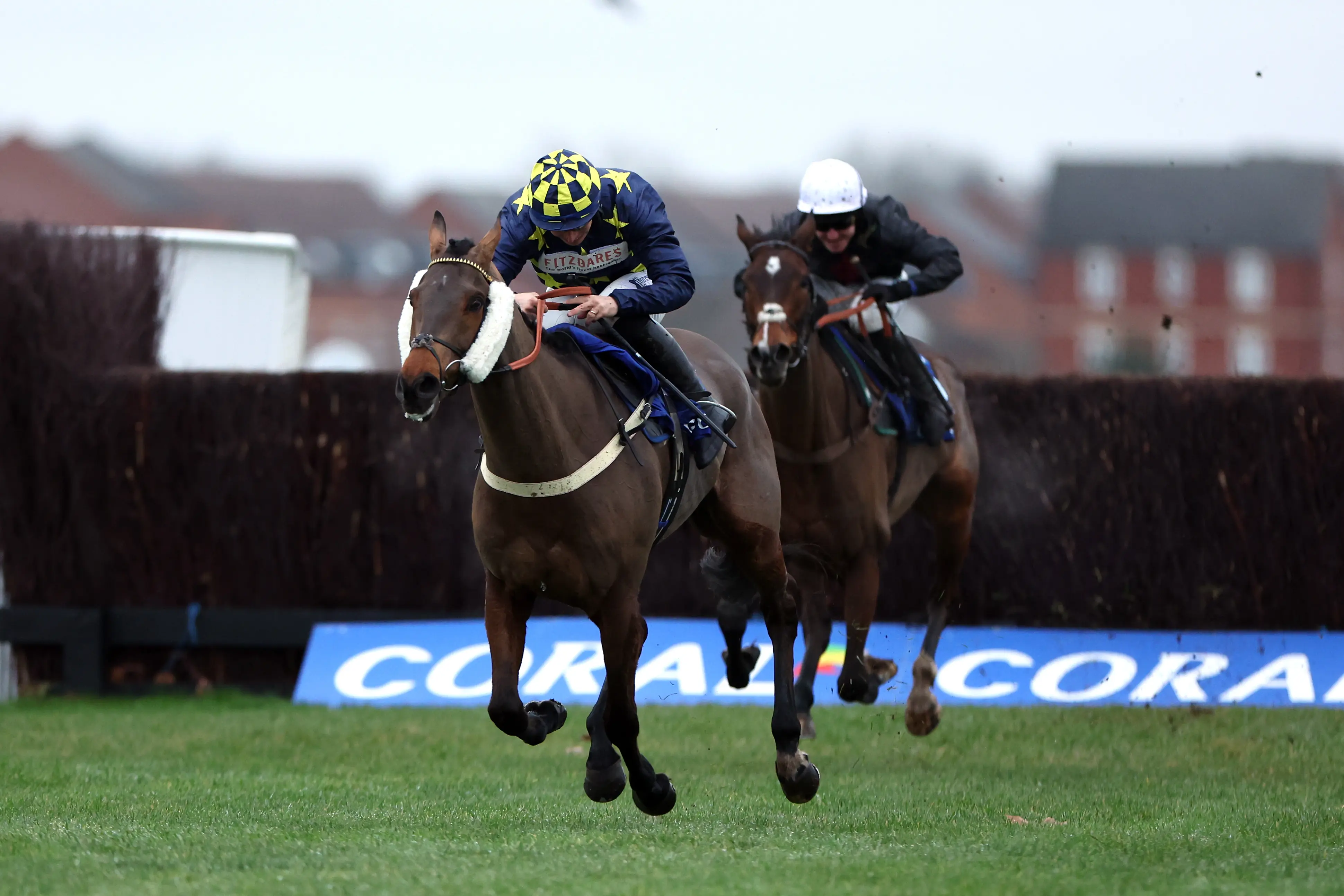 Pauling hails Ultima hope Henry’s Friend