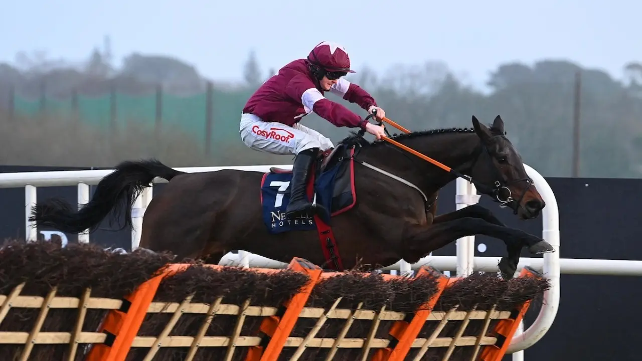 Brighterdaysahead stuns rivals with 30-length win at Leopardstown