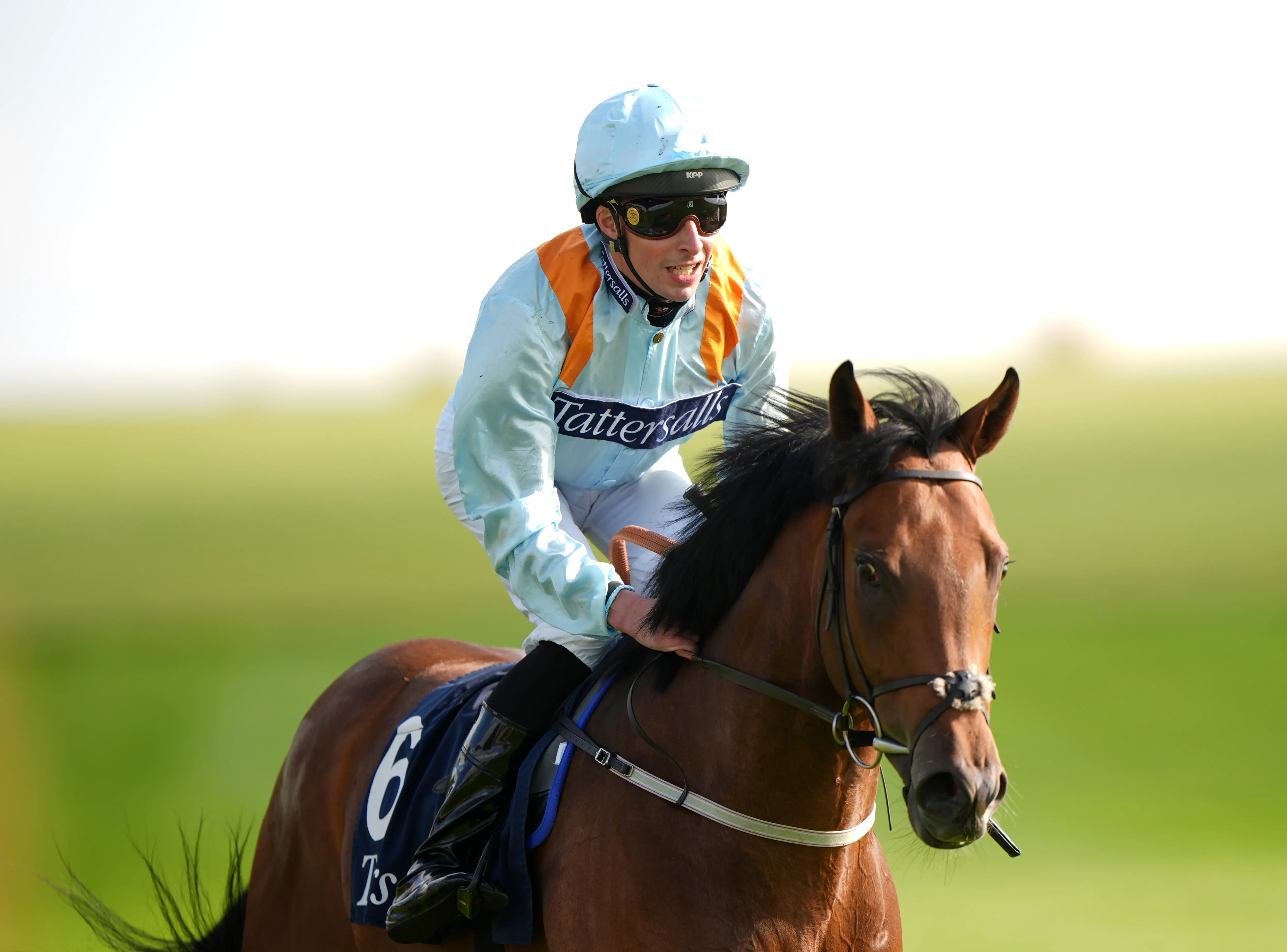 Middleham Park celebrate hitting century in style at Lingfield