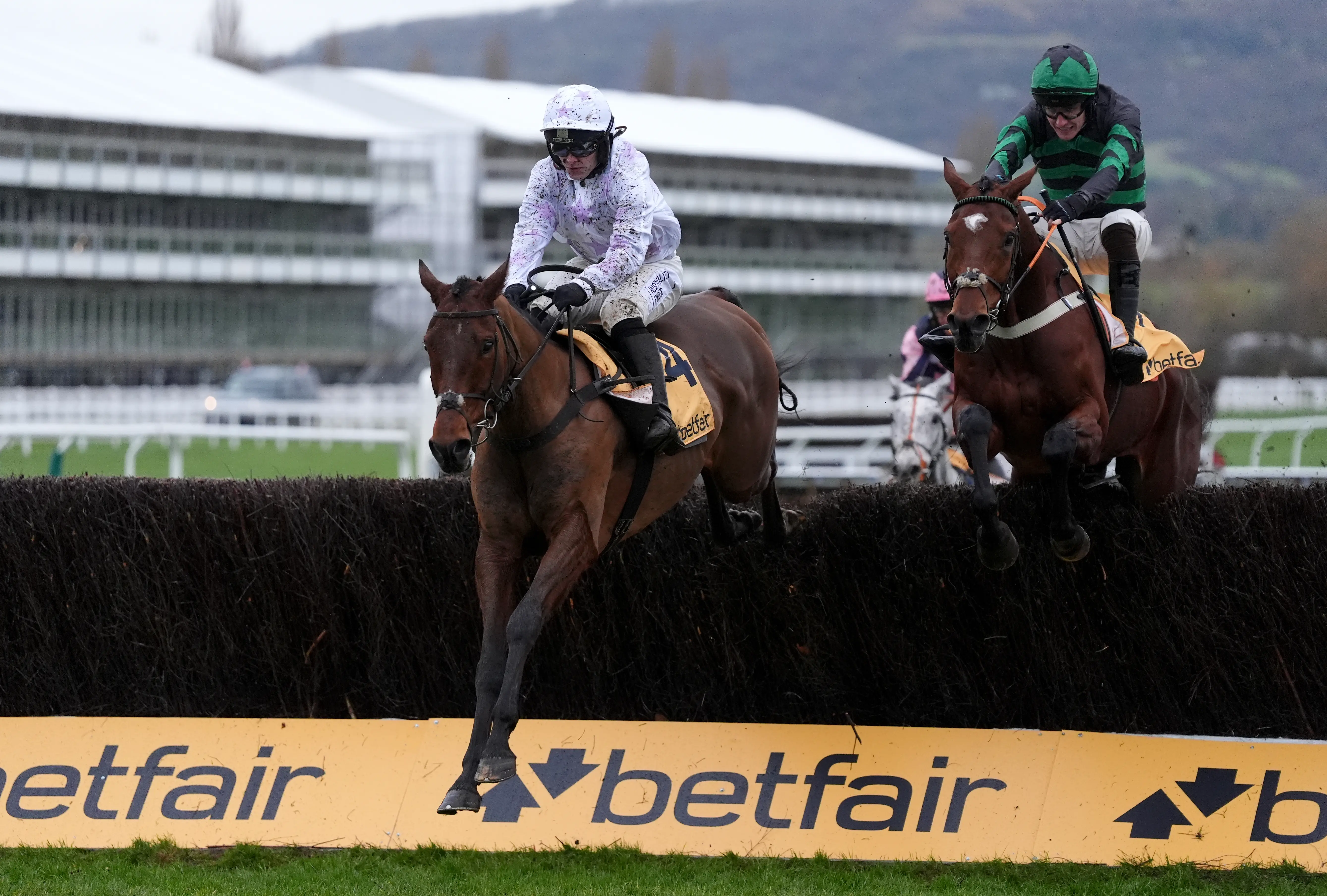Springwell Bay stars for the O’Neill team at Cheltenham